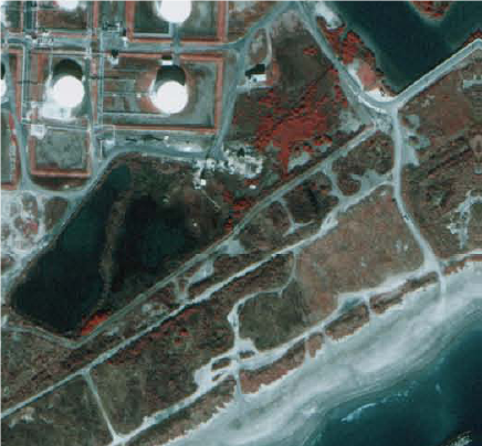 Do You Need a 408 Review?